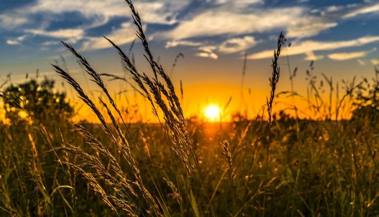 Sun Belt: Der sonnige und wirtschaftsstarke Süden der USA
